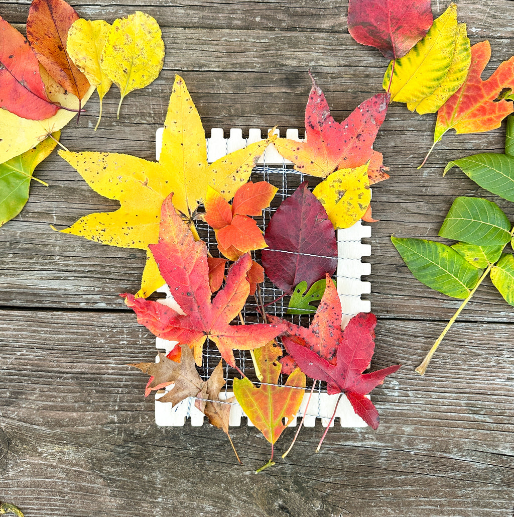Outdoor Play — Oak & Ever