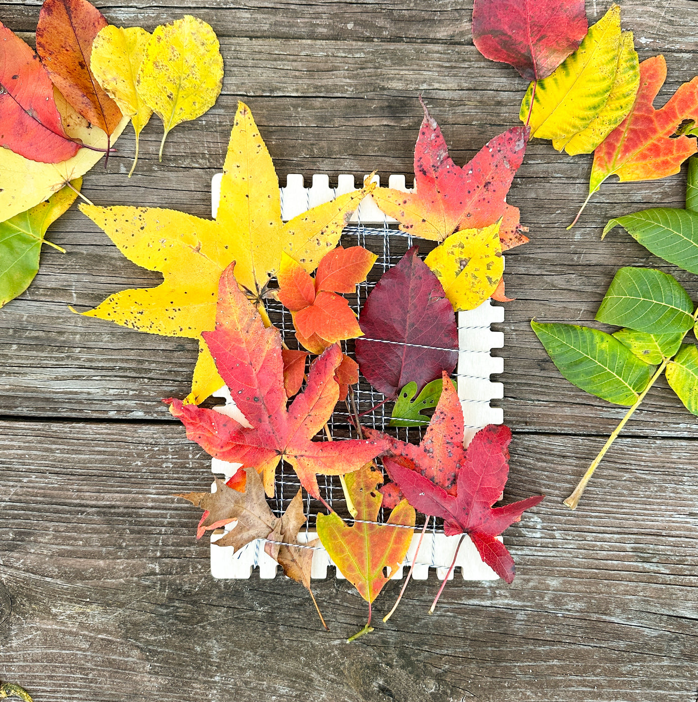 Set of 2 Natural Weaving Frames – Nature Play Weaving Frames — Oak & Ever