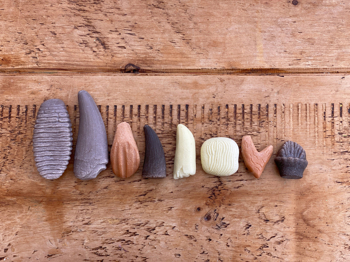 Prehistoric Teeth Stones – Sensory Fossils Made from Stones — Oak & Ever