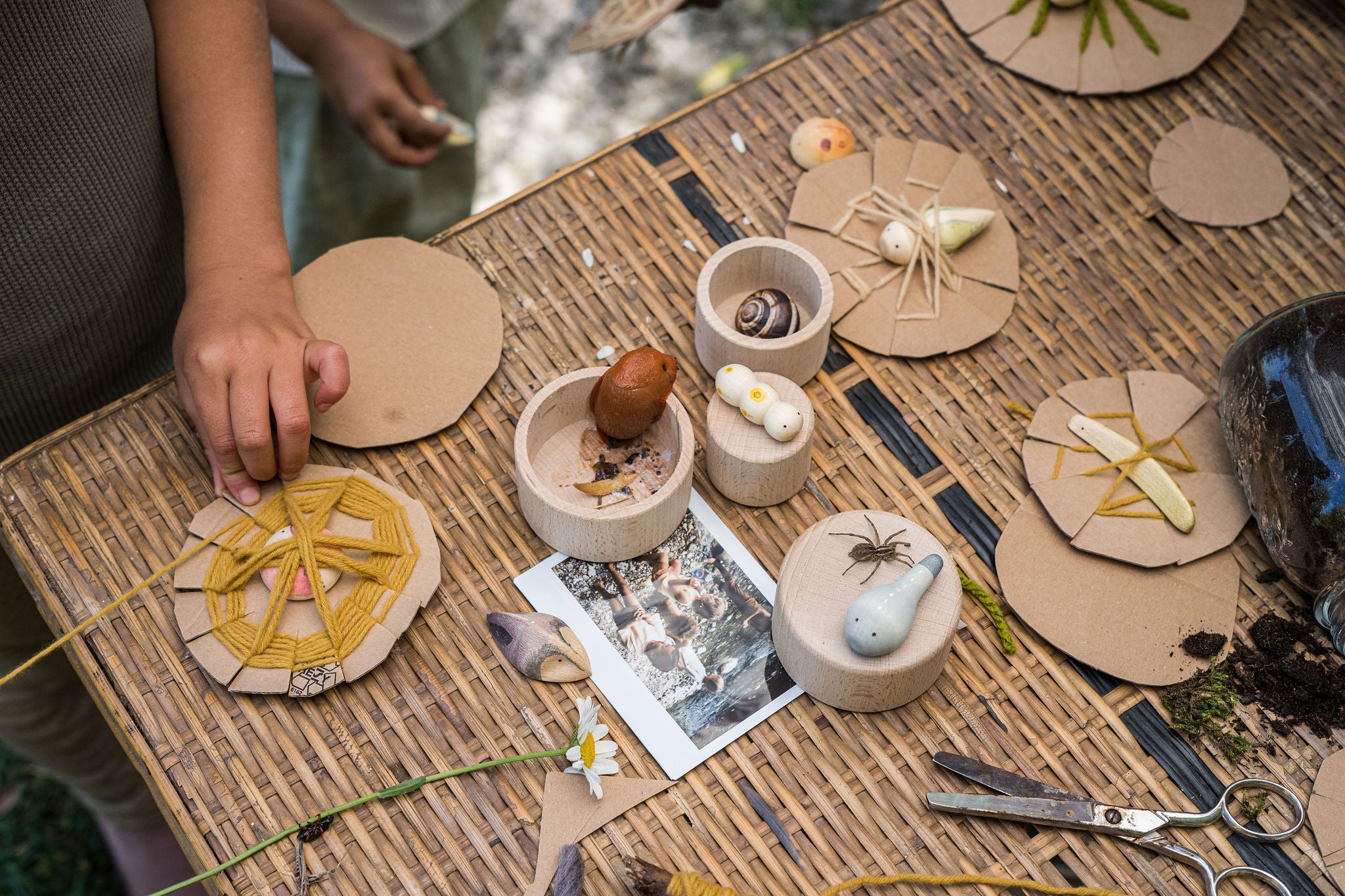 Wild Exploration Play Set – 12 Hand painted Wooden Creatures with Stor ...