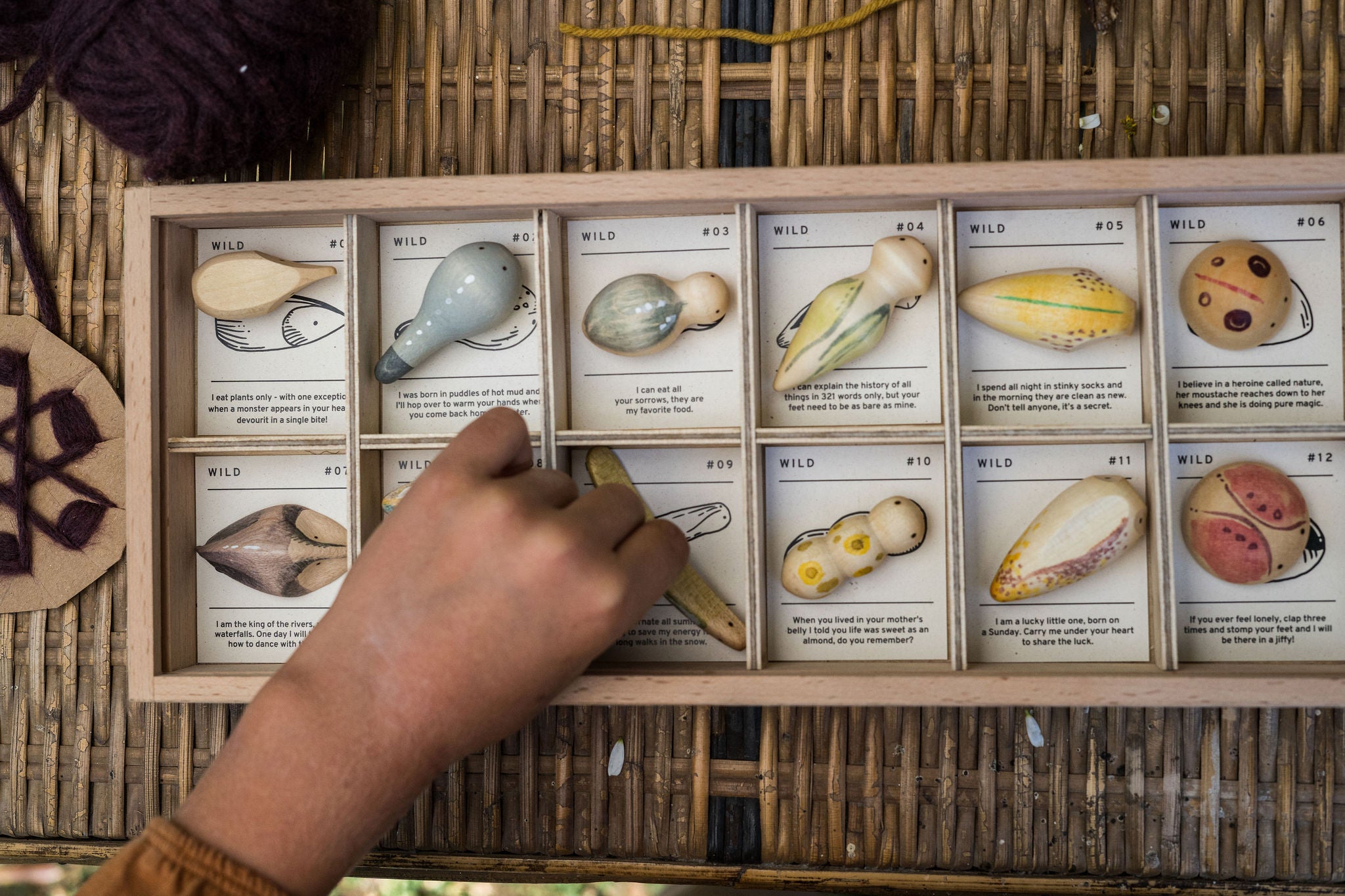 Wild Exploration Play Set – 12 Hand painted Wooden Creatures with Stor ...