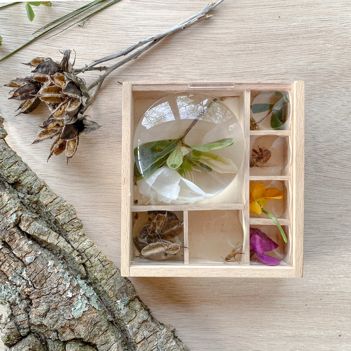 A Closer Look Bug and Flower Box – Mini Collection Box — Oak & Ever
