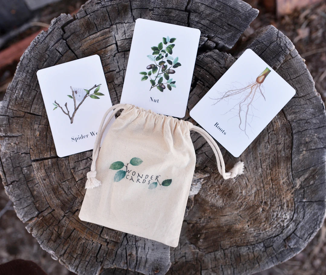Wonder Cards - Flashcards to inspire Nature Play — Oak & Ever
